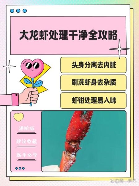 大龙虾怎么处理_大龙虾清洗步骤-第1张图片-山城妙识