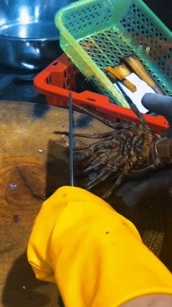 大龙虾怎么处理_大龙虾清洗步骤-第3张图片-山城妙识