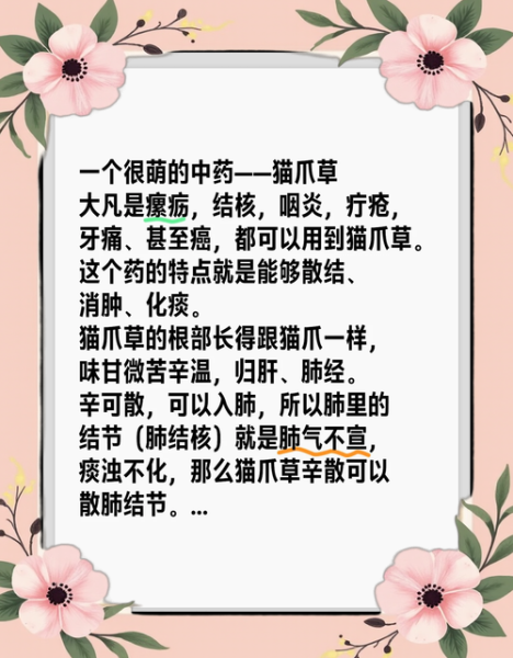 猫爪草的功效与作用及禁忌_猫爪草能长期泡水喝吗-第3张图片-山城妙识