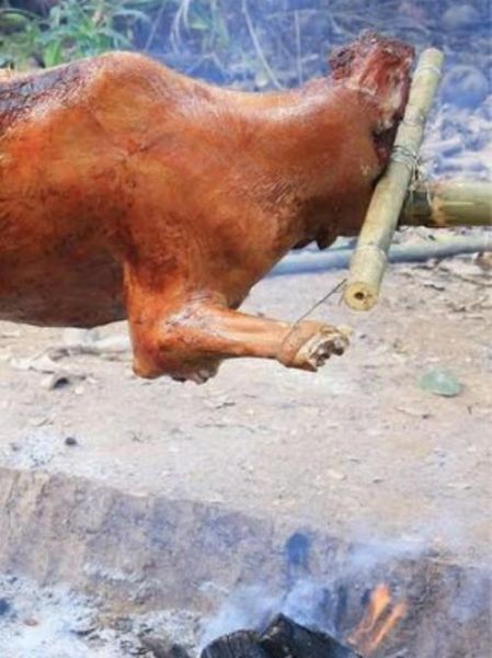 烤全牛怎么做_烤全牛需要多久-第3张图片-山城妙识 烤全牛怎么做_烤全牛需要多久-第3张图片-山城妙识