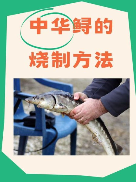 清蒸中华鲟怎么做_清蒸中华鲟蒸多久-第1张图片-山城妙识