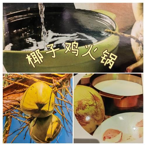 海南椰子鸡火锅怎么做_正宗汤底配方揭秘-第3张图片-山城妙识