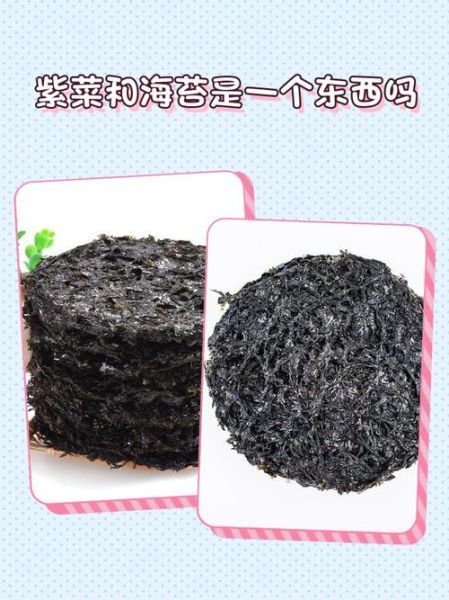 海苔和紫菜的区别图片_哪个更有营养-第1张图片-山城妙识 海苔和紫菜的区别图片_哪个更有营养-第1张图片-山城妙识