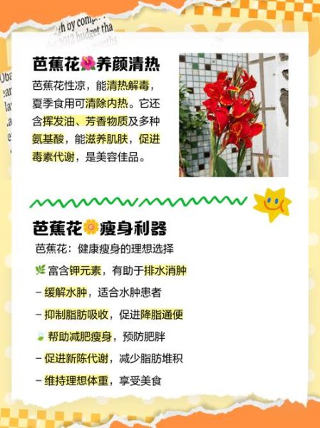 芭蕉花怎么吃_芭蕉花有什么功效-第1张图片-山城妙识 芭蕉花怎么吃_芭蕉花有什么功效-第1张图片-山城妙识