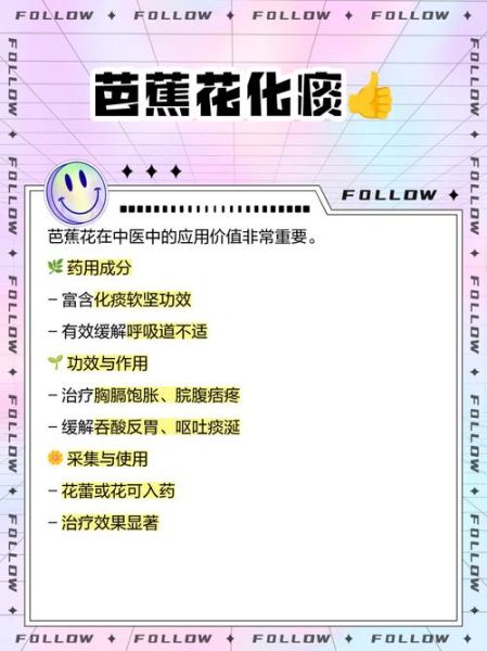 芭蕉花怎么吃_芭蕉花有什么功效-第3张图片-山城妙识 芭蕉花怎么吃_芭蕉花有什么功效-第3张图片-山城妙识