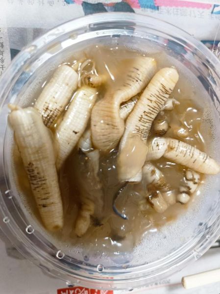 土笋冻里面的虫子是什么_土笋冻虫子能吃吗-第2张图片-山城妙识