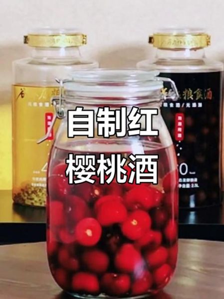 樱桃酒怎么做_樱桃酒酿制比例是多少-第3张图片-山城妙识