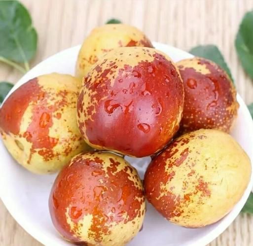 冬至吃什么水果_哪些水果最应季-第2张图片-山城妙识