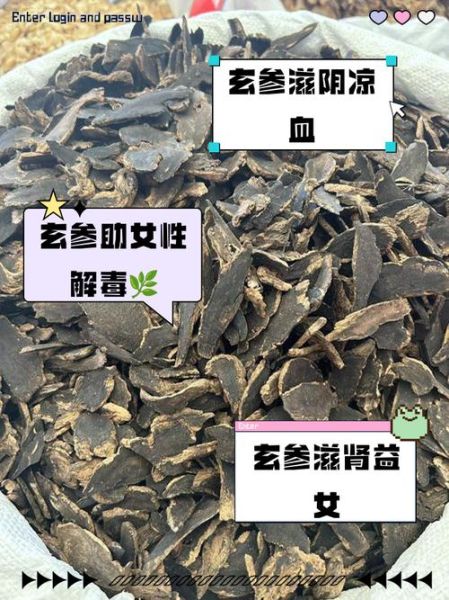 玄参的功效与作用及禁忌_玄参泡水喝的正确方法-第2张图片-山城妙识