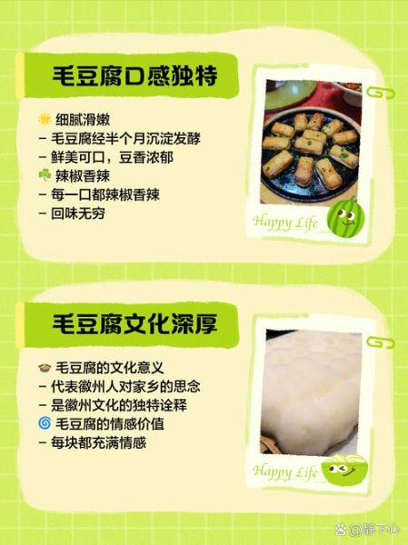 毛豆腐怎么做_毛豆腐发酵温度是多少-第2张图片-山城妙识