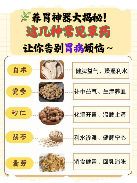 胃病食疗偏方大全_吃什么养胃最有效-第1张图片-山城妙识