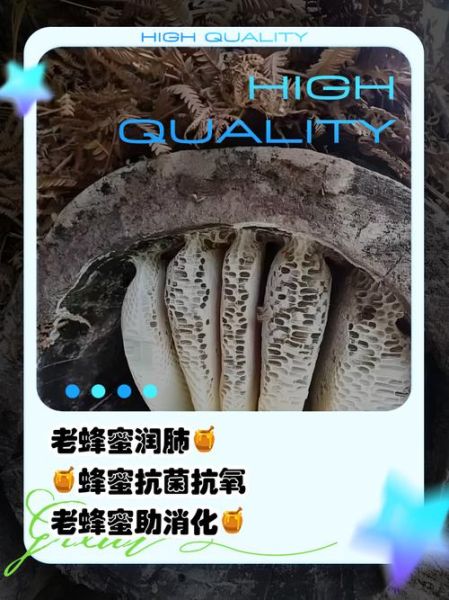 老蜂蜜的作用与功效_老蜂蜜和一般蜂蜜的区别-第2张图片-山城妙识 老蜂蜜的作用与功效_老蜂蜜和一般蜂蜜的区别-第2张图片-山城妙识
