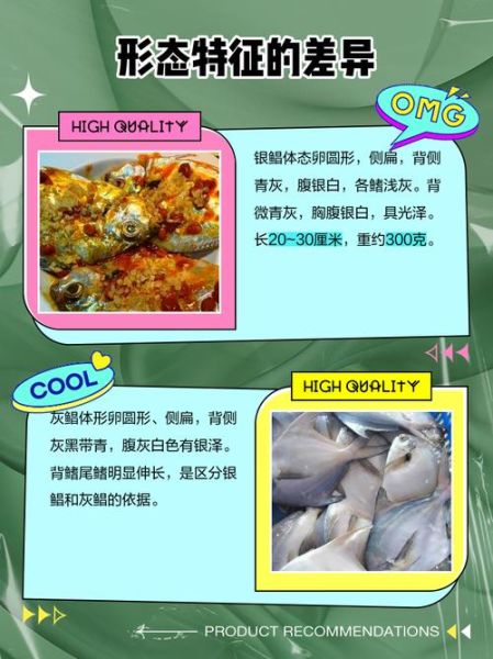 平鱼是鲳鱼吗_平鱼和鲳鱼的区别-第1张图片-山城妙识