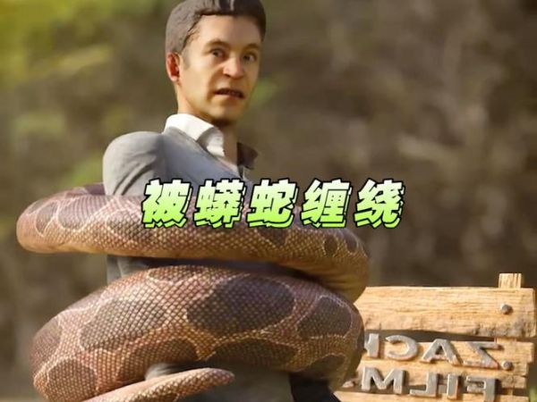 蟒蛇为什么喜欢缠女人_蟒蛇缠人真实原因-第3张图片-山城妙识
