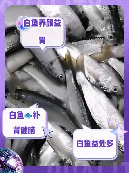白鱼怎么做好吃_白鱼的营养价值-第1张图片-山城妙识