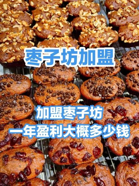 枣子坊倒闭原因_枣子坊为什么做不长-第3张图片-山城妙识