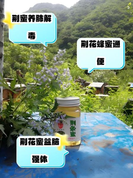 荆花蜂蜜的功效与作用_荆花蜂蜜适合什么人吃-第1张图片-山城妙识 荆花蜂蜜的功效与作用_荆花蜂蜜适合什么人吃-第1张图片-山城妙识