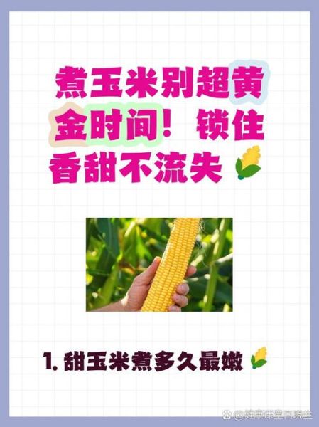 玉米怎么煮才好吃_玉米煮多久才香甜-第1张图片-山城妙识