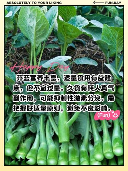 芥兰不适宜人群有哪些_什么人不能吃芥兰-第2张图片-山城妙识