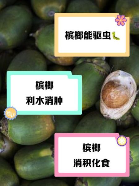 槟榔有什么好处_槟榔对身体有哪些好处-第3张图片-山城妙识 槟榔有什么好处_槟榔对身体有哪些好处-第3张图片-山城妙识