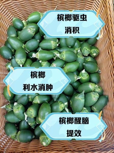 槟榔有什么好处_槟榔对身体有哪些好处-第2张图片-山城妙识 槟榔有什么好处_槟榔对身体有哪些好处-第2张图片-山城妙识