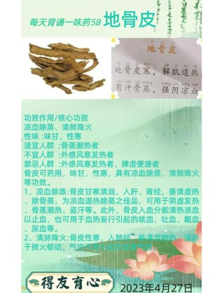 地骨皮的功效与作用是什么_地骨皮泡水喝的禁忌-第1张图片-山城妙识