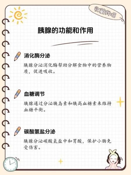 胰脏是什么_胰脏的功能有哪些-第2张图片-山城妙识