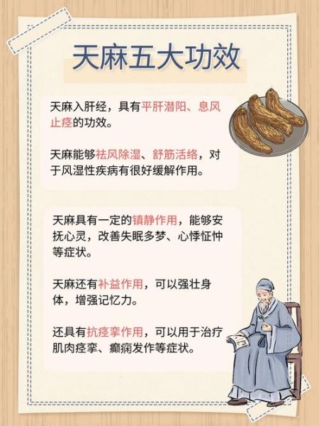 天麻的正确吃法_天麻用量一天吃多少克-第1张图片-山城妙识 天麻的正确吃法_天麻用量一天吃多少克-第1张图片-山城妙识