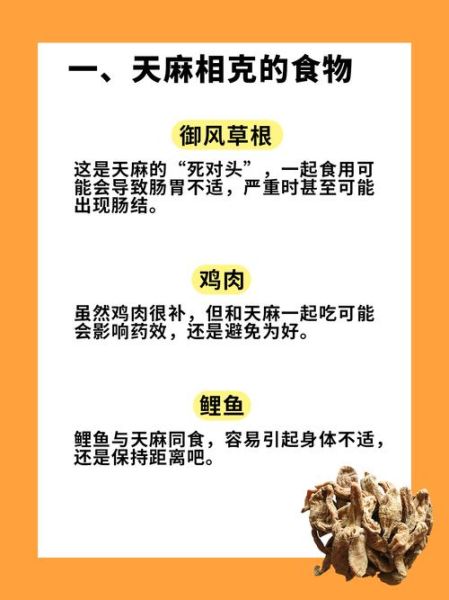 天麻的正确吃法_天麻用量一天吃多少克-第2张图片-山城妙识 天麻的正确吃法_天麻用量一天吃多少克-第2张图片-山城妙识
