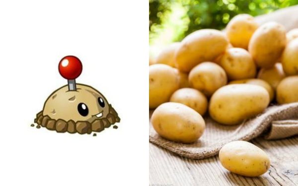 potato土豆下载_安全吗-第3张图片-山城妙识 potato土豆下载_安全吗-第3张图片-山城妙识