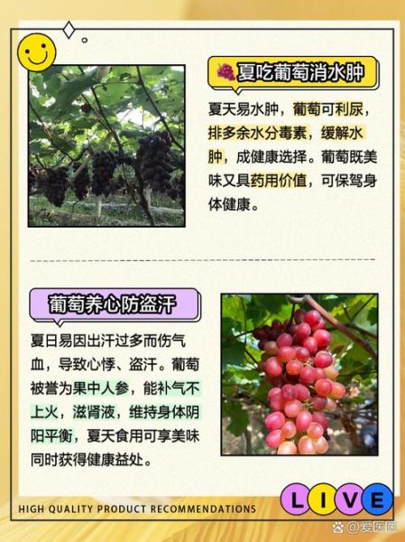 经常吃葡萄有什么好处_葡萄的营养价值-第2张图片-山城妙识 经常吃葡萄有什么好处_葡萄的营养价值-第2张图片-山城妙识