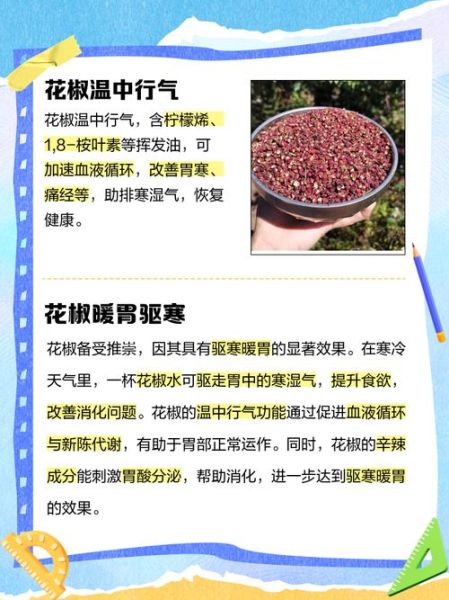 花椒是什么_花椒的用途有哪些-第2张图片-山城妙识