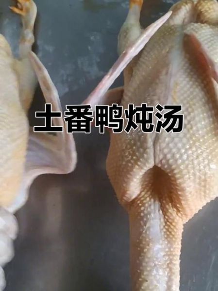 番鸭炖汤的家常做法_番鸭炖汤放什么配料最香-第2张图片-山城妙识