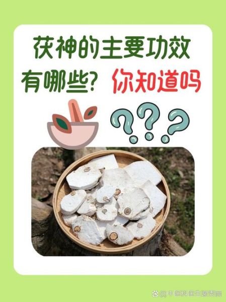 茯神的功效与作用_茯神主治什么病-第2张图片-山城妙识 茯神的功效与作用_茯神主治什么病-第2张图片-山城妙识