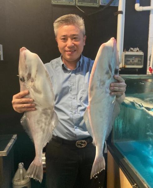 剥皮牛鱼是什么鱼_剥皮牛鱼多少钱一斤-第1张图片-山城妙识