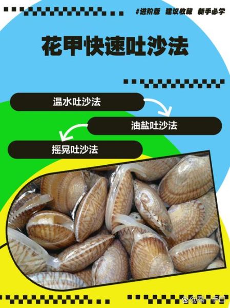 花甲买回来要怎么清洗_花甲去沙最快的方法-第1张图片-山城妙识