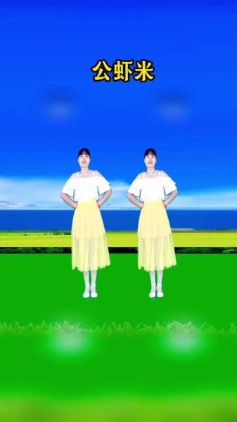 公虾米广场舞怎么跳_公虾米广场舞教学视频在哪看-第2张图片-山城妙识