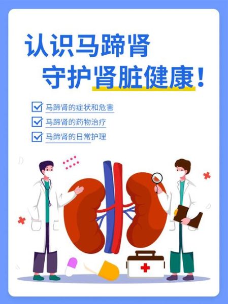 马蹄肾是怎么回事_马蹄肾严重吗-第2张图片-山城妙识 马蹄肾是怎么回事_马蹄肾严重吗-第2张图片-山城妙识