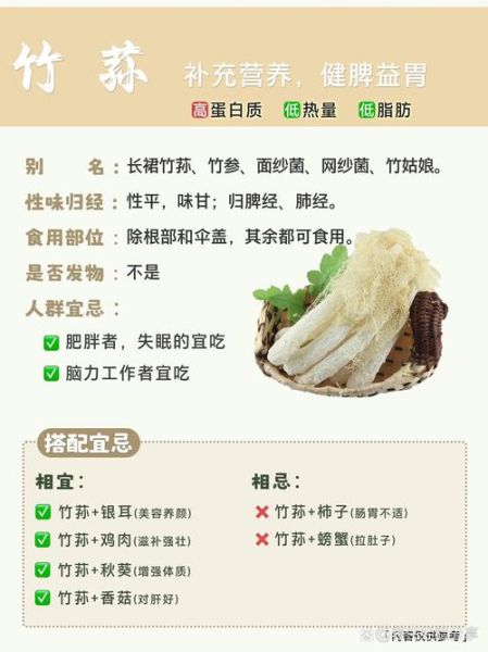竹菌的功效与作用_竹菌怎么吃效果最好-第1张图片-山城妙识