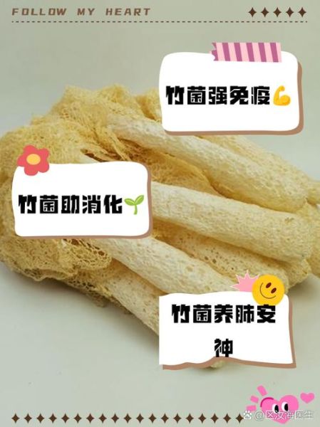 竹菌的功效与作用_竹菌怎么吃效果最好-第2张图片-山城妙识