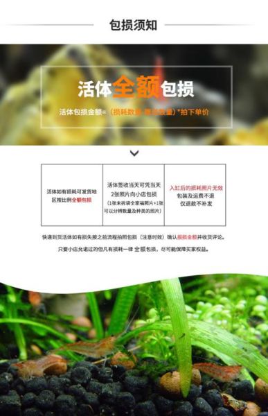 樱花虾怎么养_樱花虾饲养水质要求-第1张图片-山城妙识