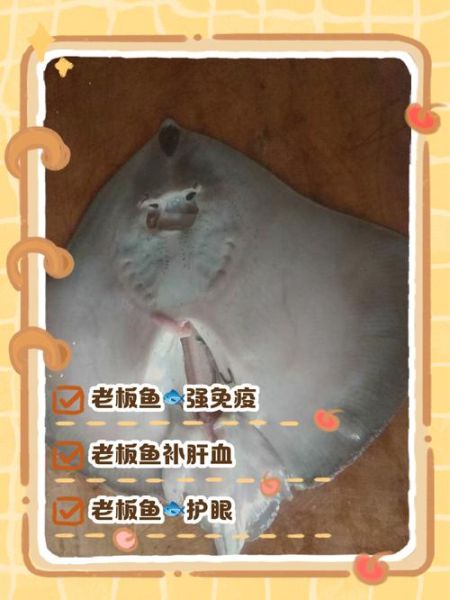 老板鱼的尾巴怎么处理_老板鱼尾巴怎么做好吃-第3张图片-山城妙识 老板鱼的尾巴怎么处理_老板鱼尾巴怎么做好吃-第3张图片-山城妙识