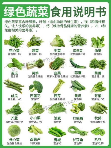 蔬菜的营养价值有哪些_蔬菜怎么吃最营养-第1张图片-山城妙识 蔬菜的营养价值有哪些_蔬菜怎么吃最营养-第1张图片-山城妙识