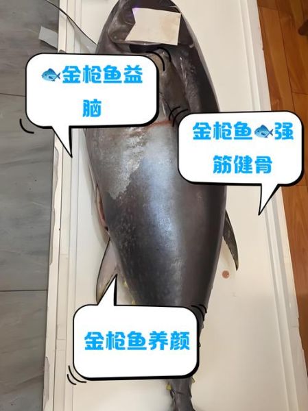 金枪鱼为什么难吃_金枪鱼口感差的原因-第1张图片-山城妙识