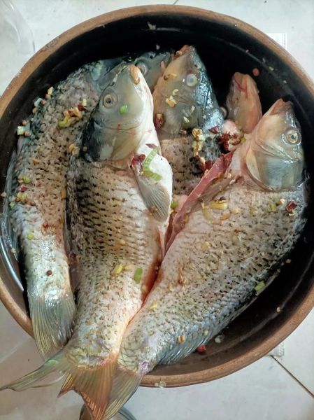 腌鱼一般腌多长时间_腌鱼多久能吃-第1张图片-山城妙识 腌鱼一般腌多长时间_腌鱼多久能吃-第1张图片-山城妙识