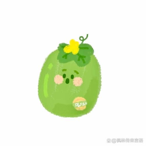 冬瓜图片大全大图卡通_冬瓜卡通图片怎么画-第3张图片-山城妙识