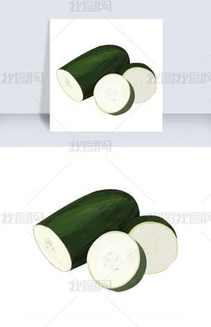 冬瓜图片大全大图卡通_冬瓜卡通图片怎么画-第2张图片-山城妙识