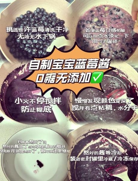 自制蓝莓果酱怎么做_蓝莓果酱保存多久-第2张图片-山城妙识 自制蓝莓果酱怎么做_蓝莓果酱保存多久-第2张图片-山城妙识