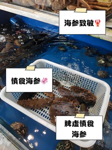 海参不适合什么人吃_哪些人群不能吃海参-第2张图片-山城妙识