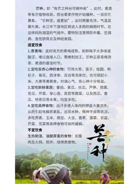 芒种节气吃什么食物_芒种养生食谱推荐-第1张图片-山城妙识 芒种节气吃什么食物_芒种养生食谱推荐-第1张图片-山城妙识